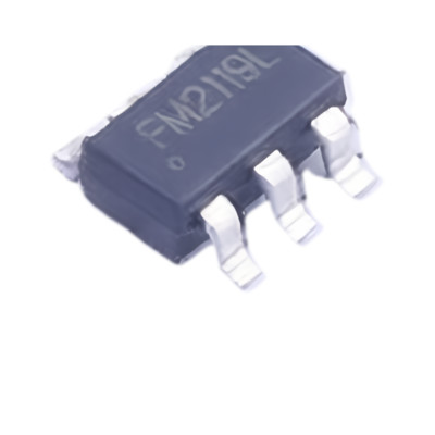 FM FM2202P Battery Management Chip