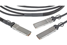 Molex 1003451306