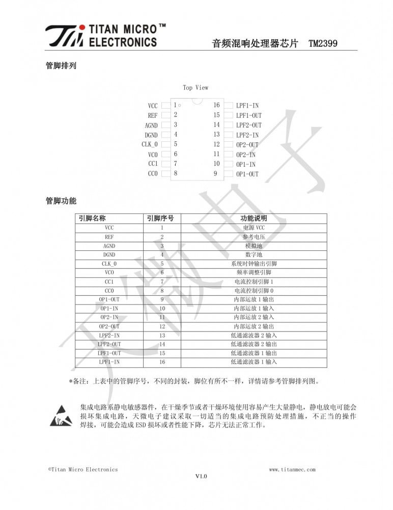TM2399 datasheet page 2