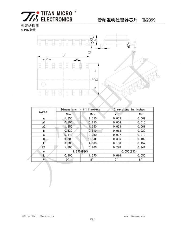 TM2399 datasheet page 6