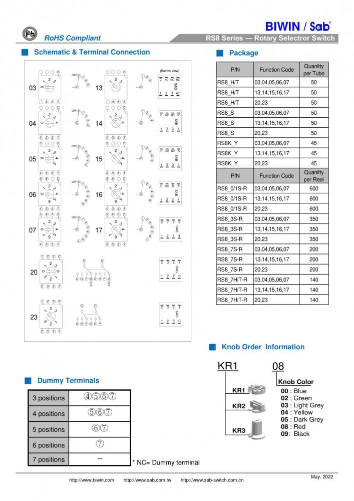 BIWIN RS8160H technical document page 2
