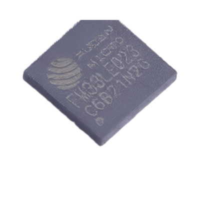 FUDAN MICRO FM33G026 Microcontroller