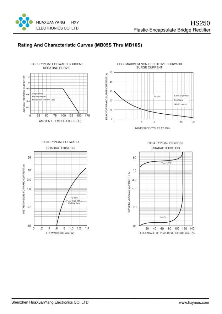 HS250 datasheet page 2