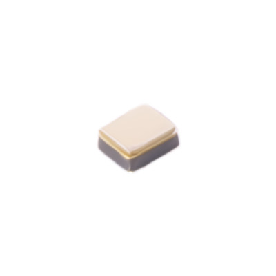 EPSON X1G0054410303
