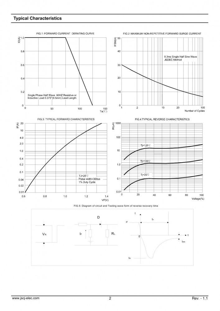 RS1K datasheet page 2