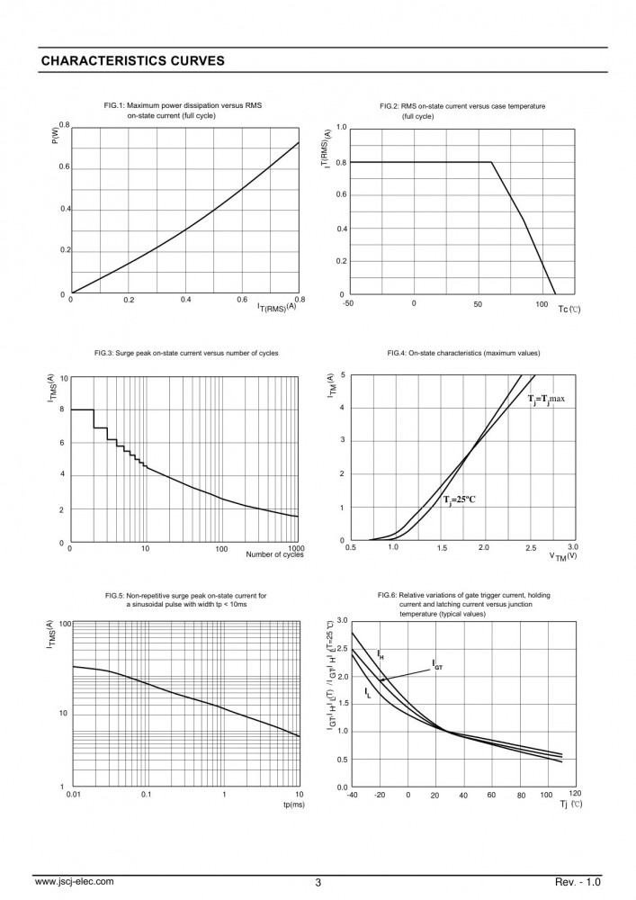 CS008G datasheet page 3