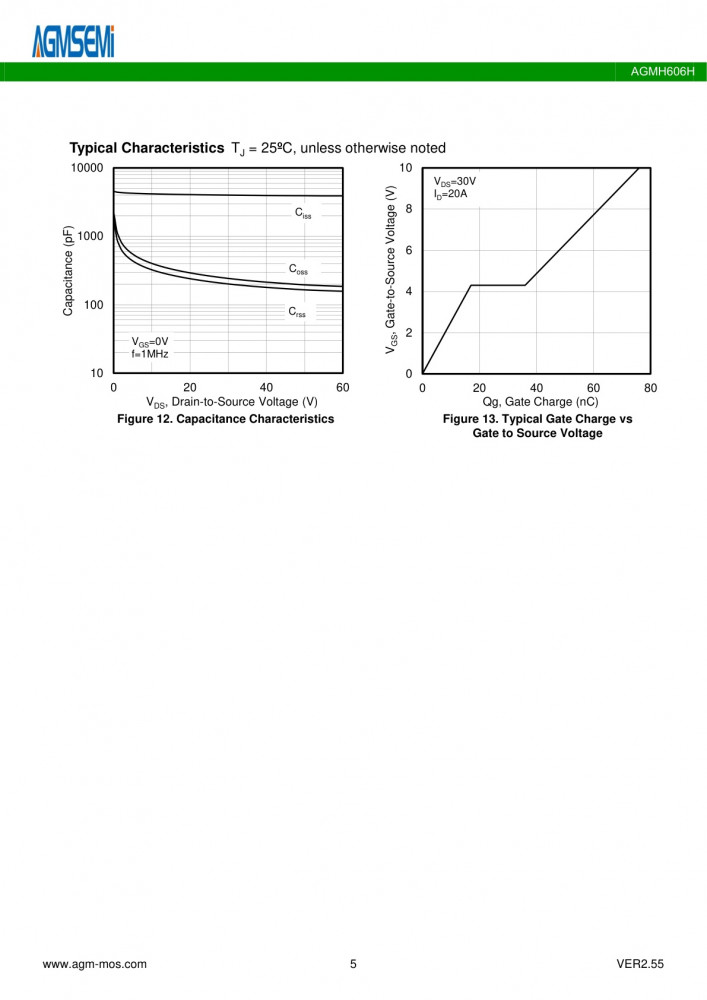 AGMH606H datasheet page 5