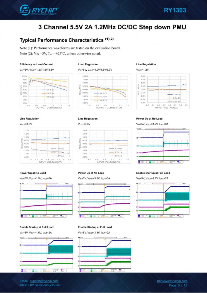 RY1303 datasheet page 6