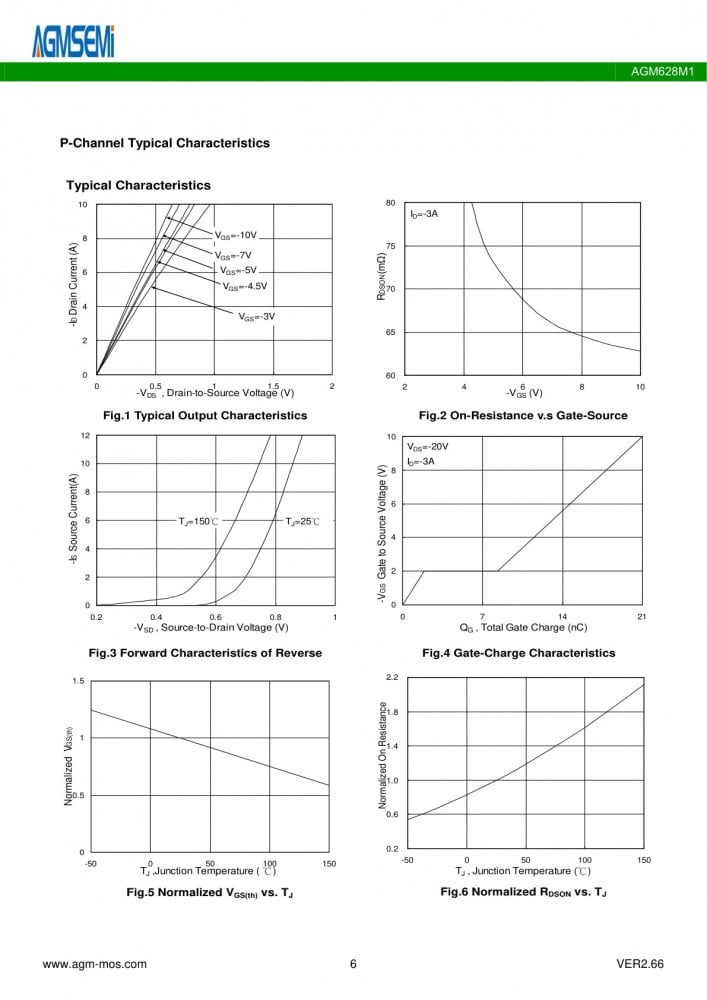 AGM628M1 datasheet page 6