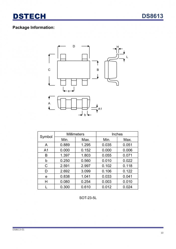 DS8613 datasheet page 10