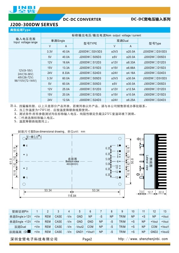 J300DW series datasheet page 2
