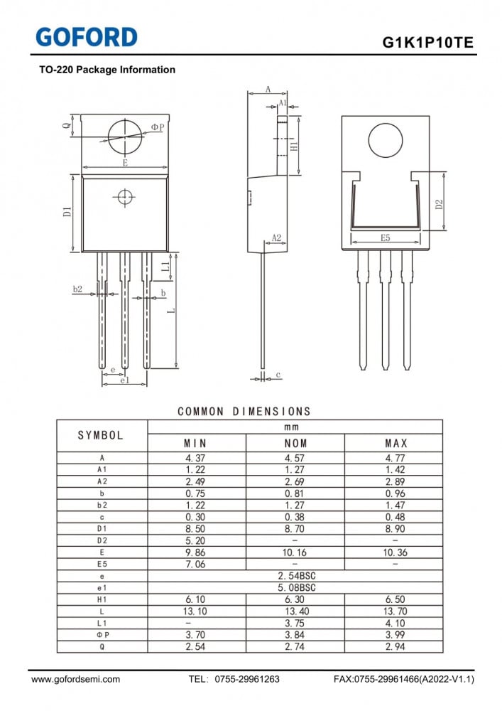 G1K1P10TE datasheet page 6