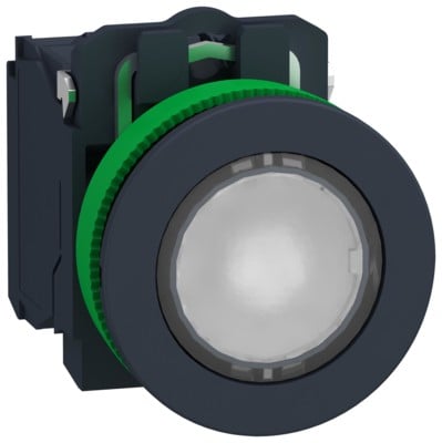 Schneider XB4FL42 Pushbutton Switch