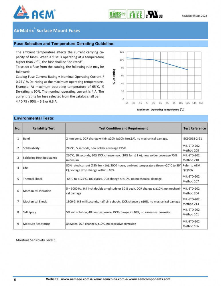 AEM AF2 datasheet page 6