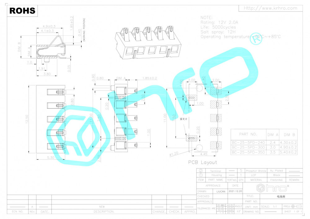 BC-25-5PD-300 technical drawing preview