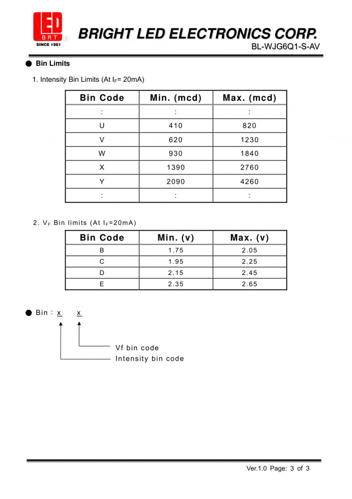 BL-WJG6Q1-S-AV datasheet page 3