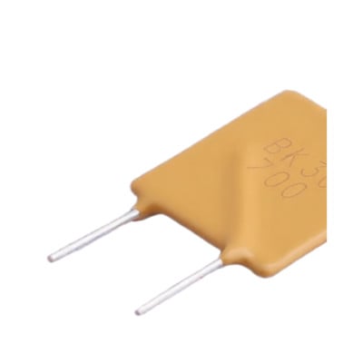 Brightking BK30-600-SZ PTC Resettable Fuse