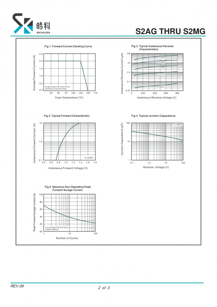 S2AG datasheet page 2