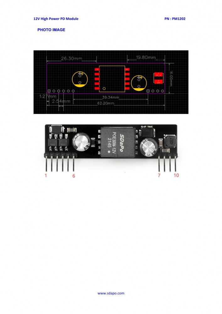 SDAPO PM1202 datasheet page 3