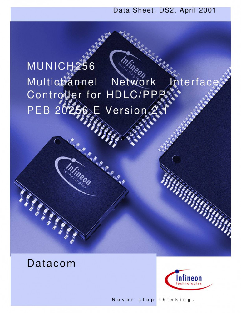 PEB20256EV2.1 datasheet page 1