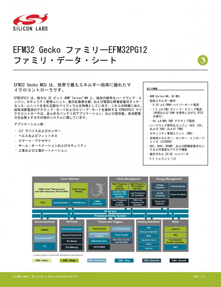EFM32PG12 datasheet page 1