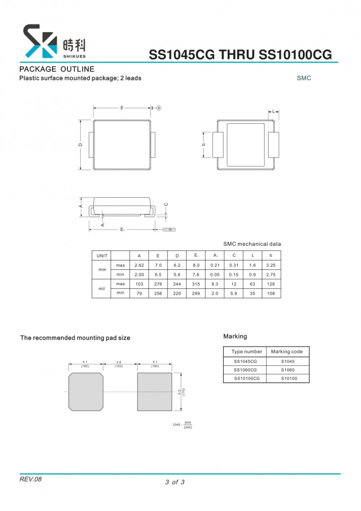SS10100CG datasheet page 3