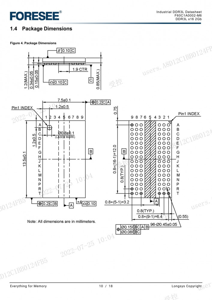 FORESEE DDR3L datasheet page 10