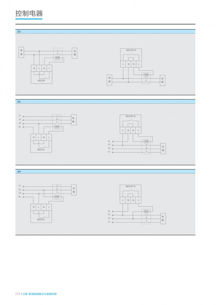 CHINT KG316T-D datasheet page 2