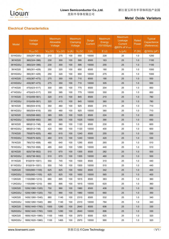 Liown 20D series datasheet page 4