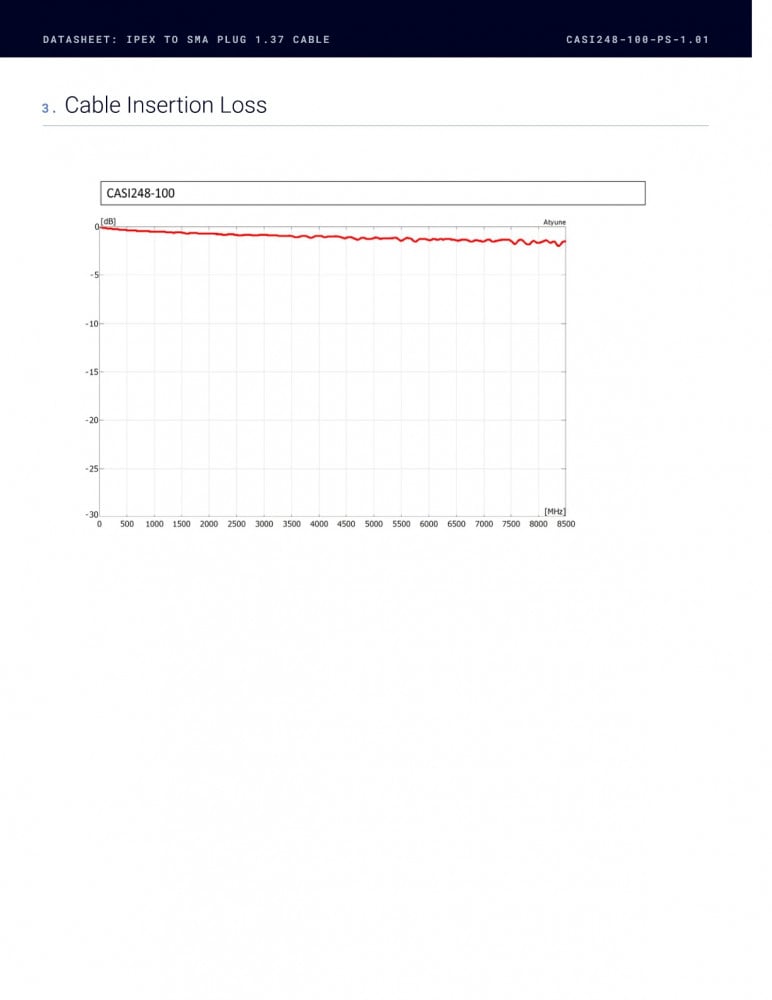 CASI248-100 datasheet page 6