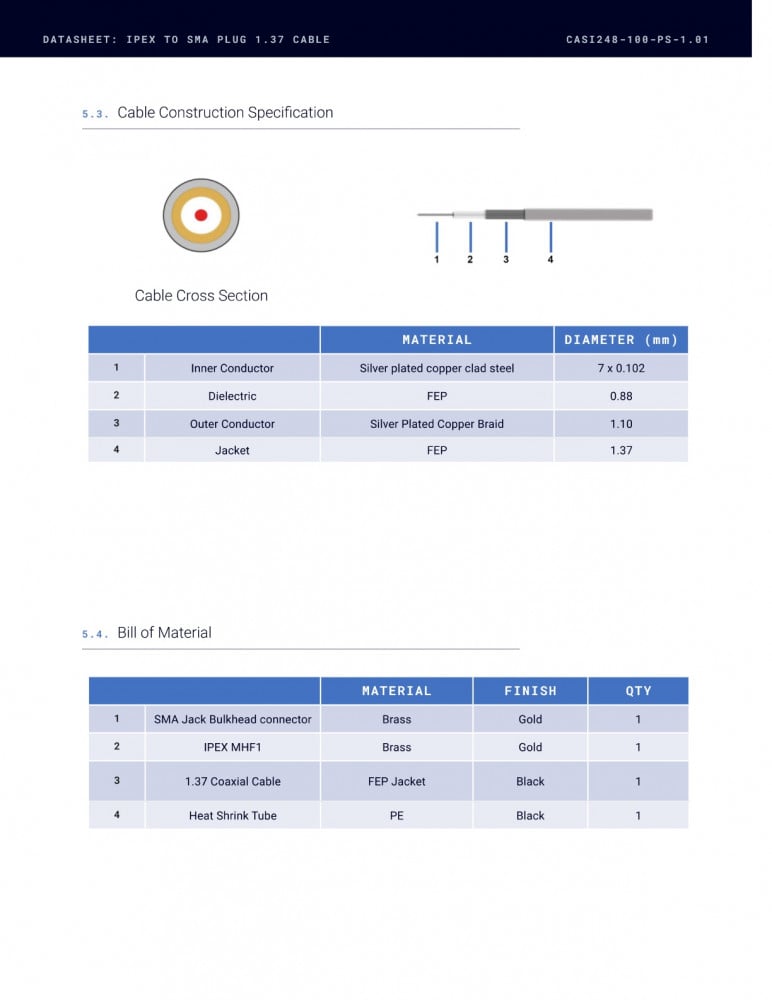 CASI248-100 datasheet page 8
