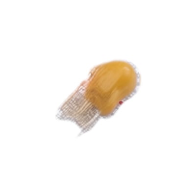 KNSCHA 178MU0029 Tantalum Capacitor