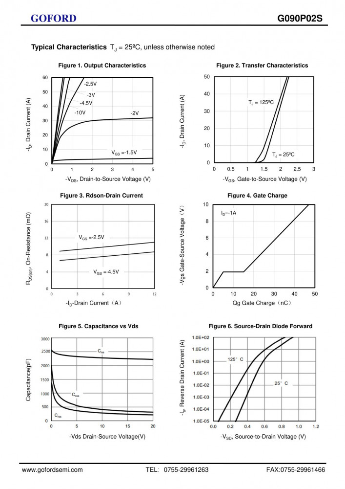 G090P02S datasheet page 4