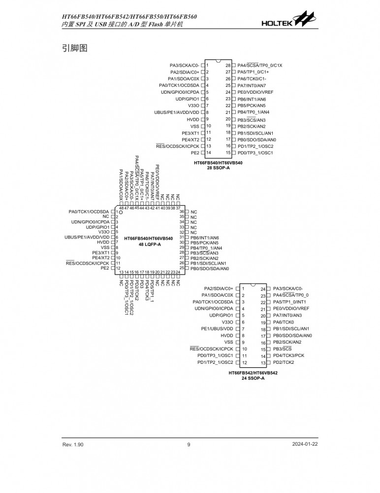 HT66FB550 datasheet page 9