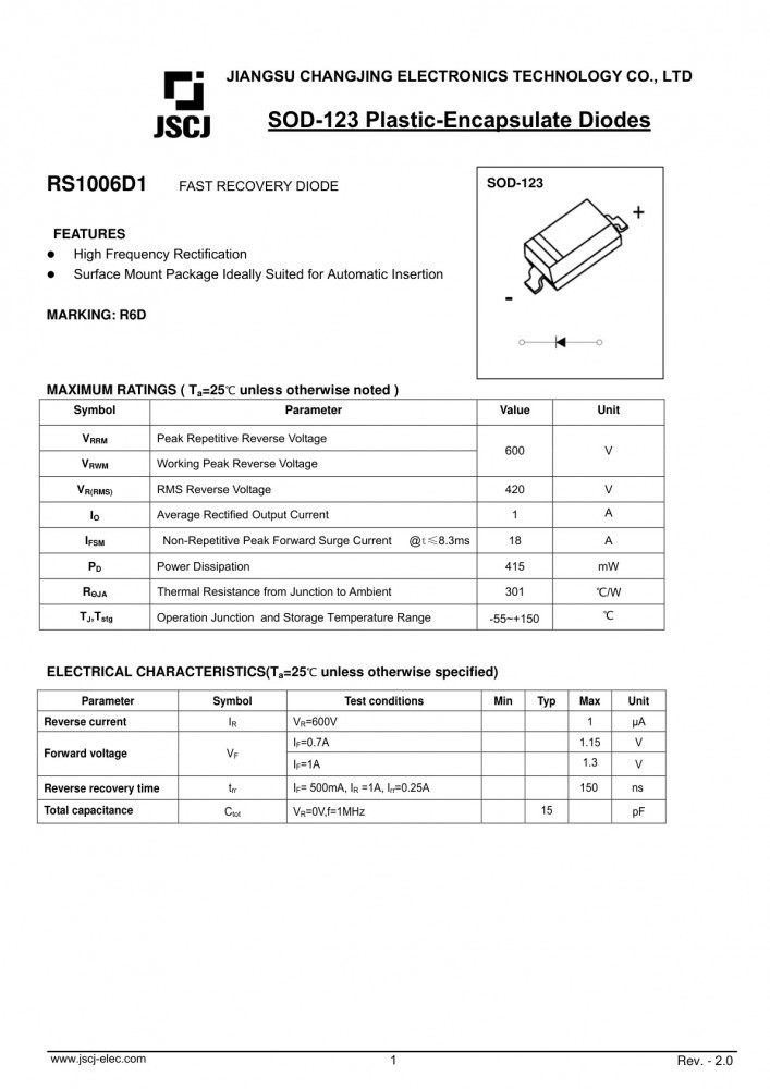 RS1006D1 datasheet page 1