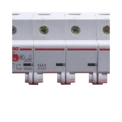 Delixi Electric DZ47V1254D80 Miniature Circuit Breaker