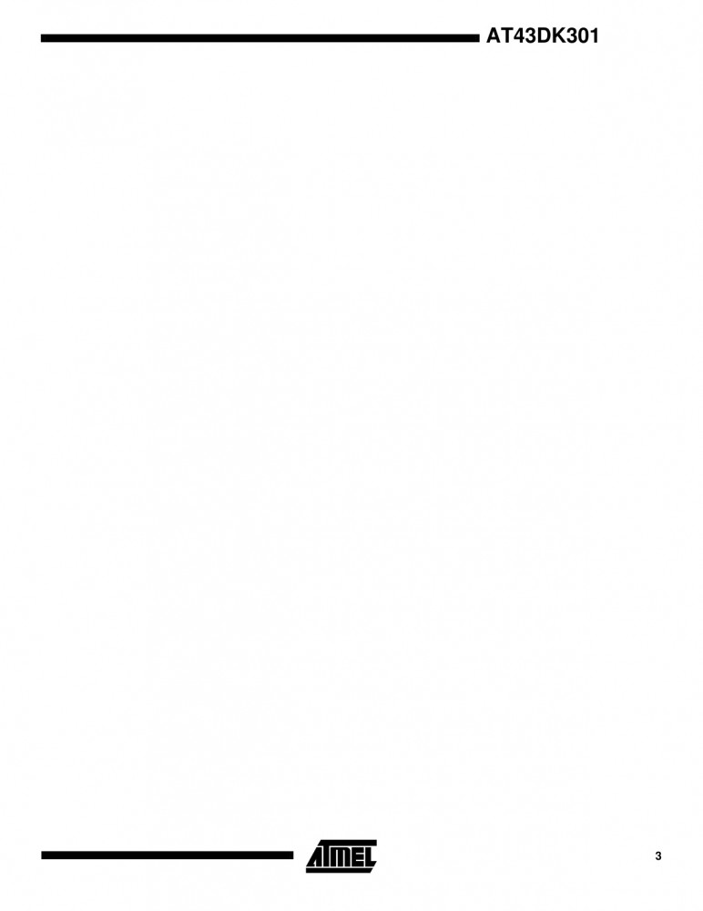 AT43DK301 technical document page 3