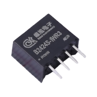 DEXU Electronics B2424LS-1WR3 DC DC Converter Chip