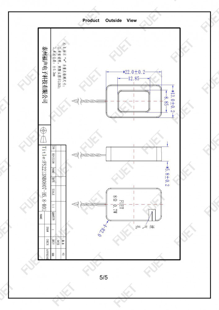 FUET FS2213NB0807-H5.8-R01 drawing page 2