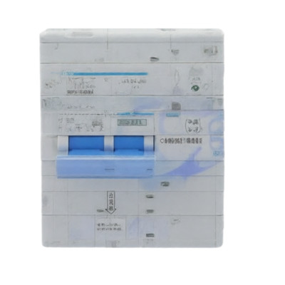 CHINT DZ158LE-125 2P 100A 30mA Miniature Residual Current Circuit Breaker for sale