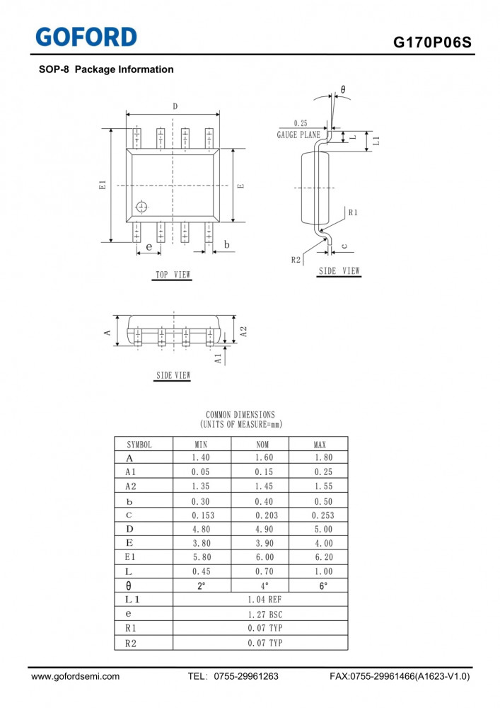 G170P06S datasheet page 6