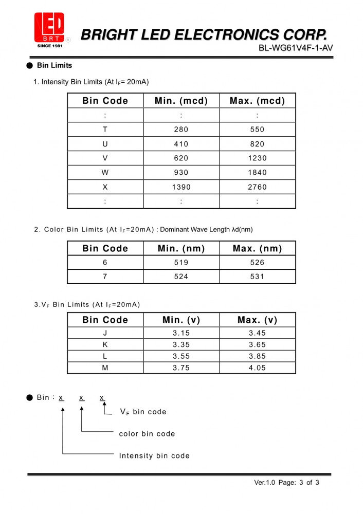 BL-WG61V4F-1-AV datasheet page 3