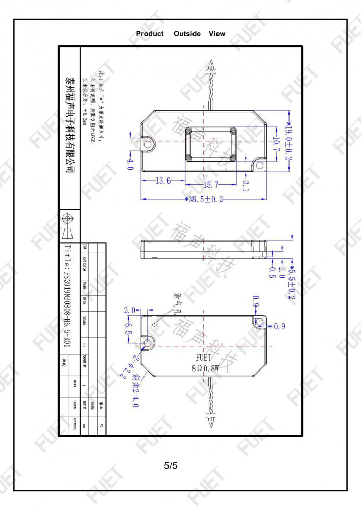 FUET FS3919NB0808-H5.5-R01 drawing page
