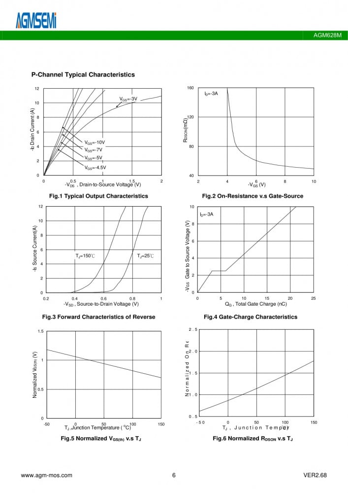 AGM628M datasheet page 6