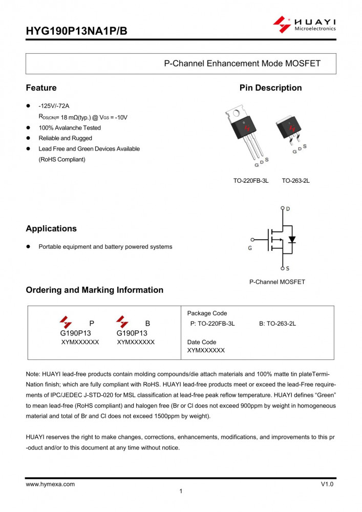 HYG190P13NA1P datasheet page 1
