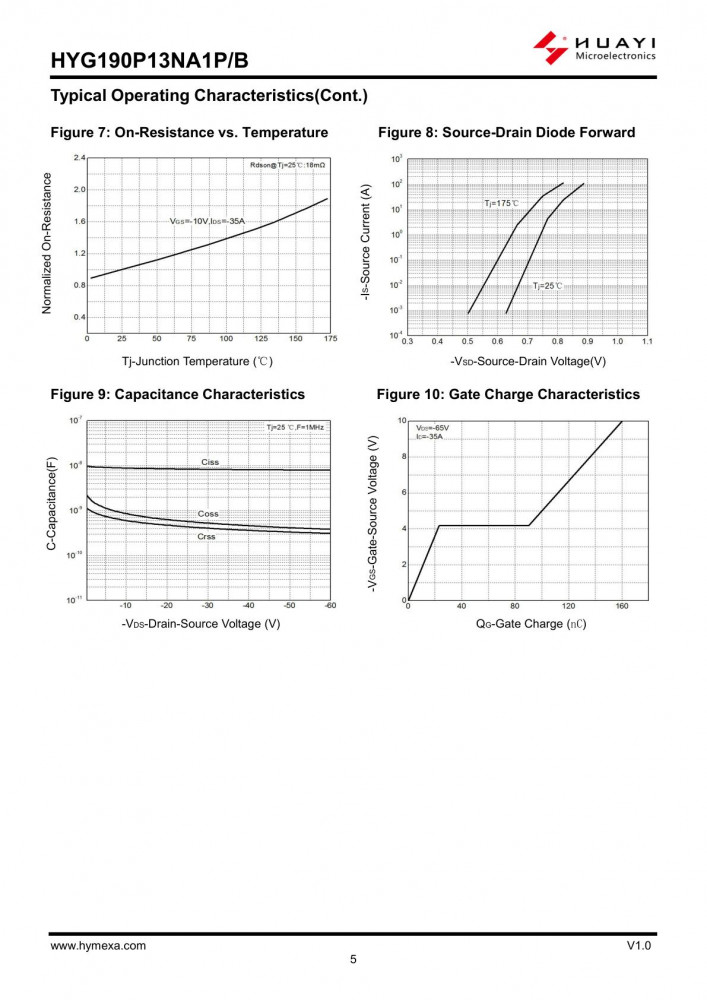 HYG190P13NA1P datasheet page 5