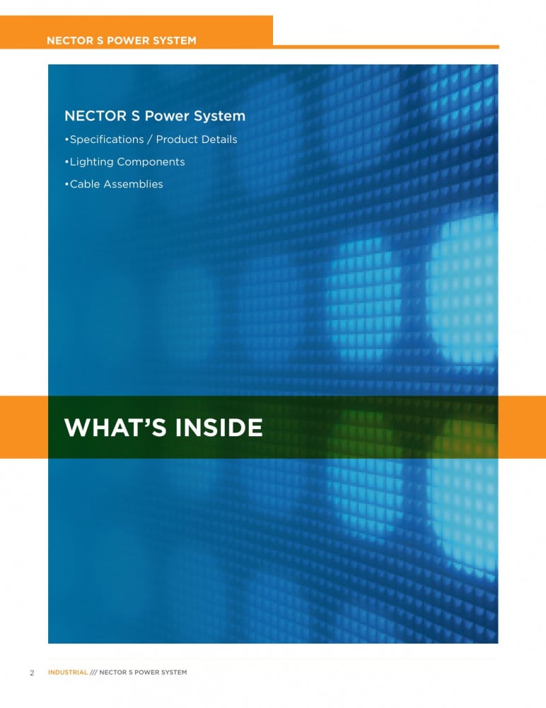 NECTOR S document page 2