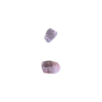 CCTC TCC0402X7R104K500AT Ceramic Capacitor