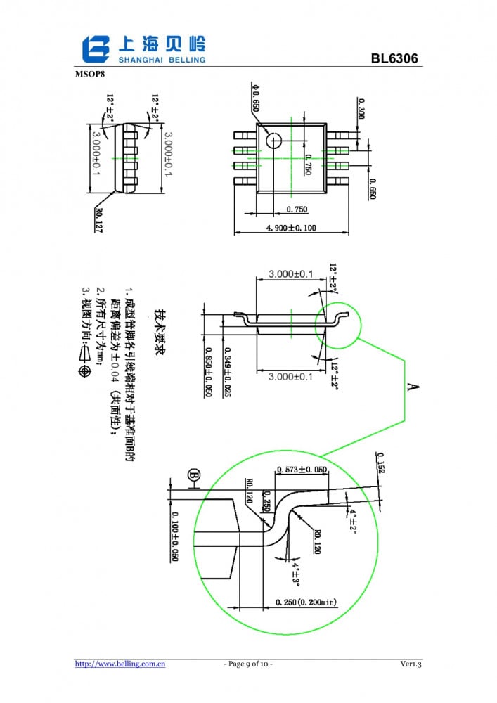 BL6306 datasheet page 9