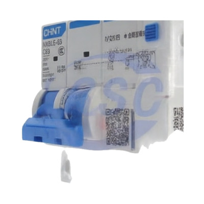 CHINT NXBLE-125 2P C63A Miniature Residual Current Circuit Breaker